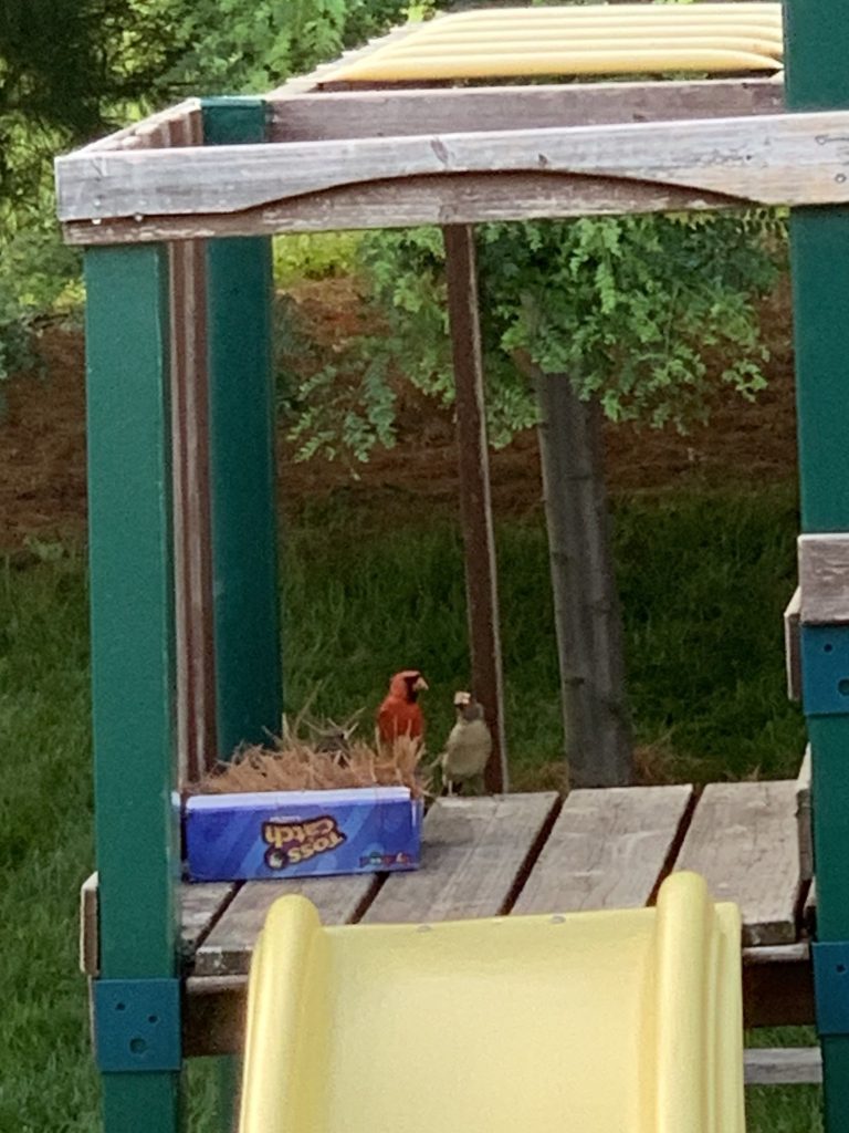 Emily’s Weekend Recap from WDM!